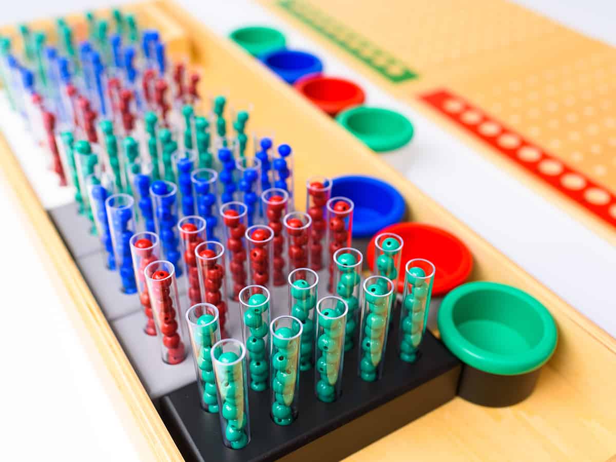 Lower Elementary | The Sammamish Montessori School