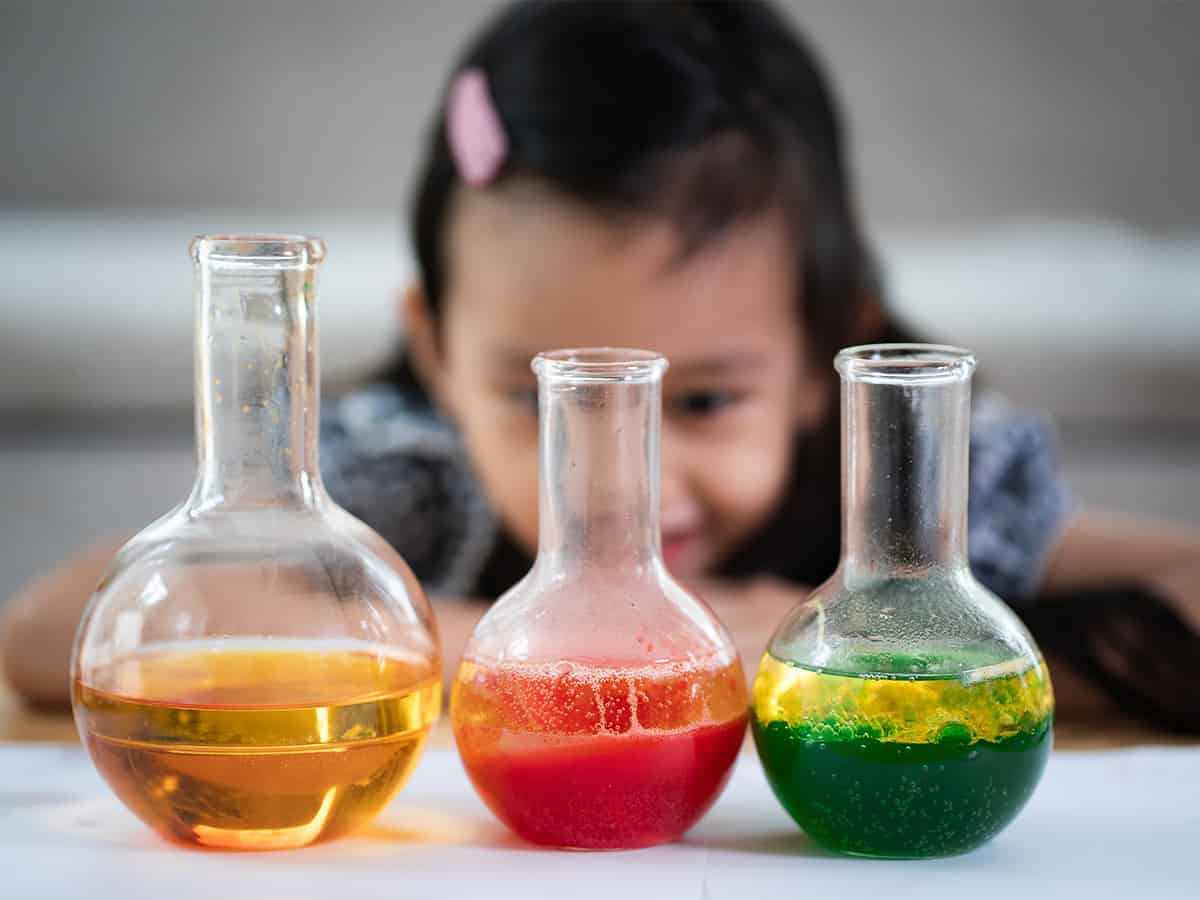 Lower Elementary | The Sammamish Montessori School